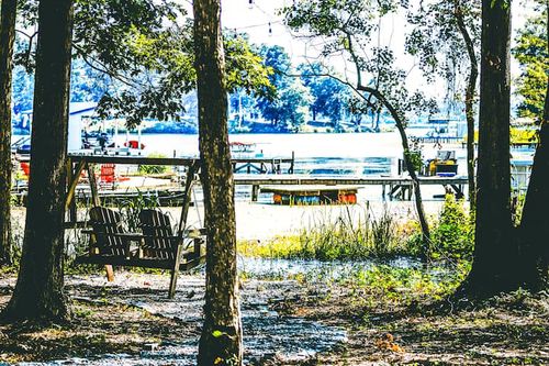 Daingerfield State Park, Daingerfield: airbnb, hotels and vacation rentals