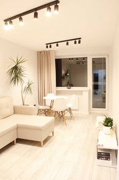Bouvier Apartment - Lituanie