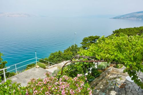 Sunny Lavanda - Senj