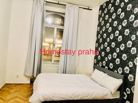 Luxus Room In Prague 2 Square - Prag
