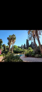 Villa Des Vacances Avec Piscine - Algeria