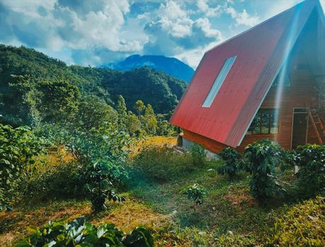 Cabaña En Oxapampa - Villa Rica