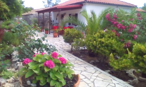 Villa Elvira, Paxos - Paxi