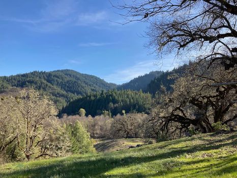 Stellar Jay Valley Oasis Home-pool,hot Tub,views! - Willits, CA