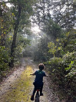 Cottage Woodland Retreat On 17 Acres - Ichetucknee Springs State Park, Fort White