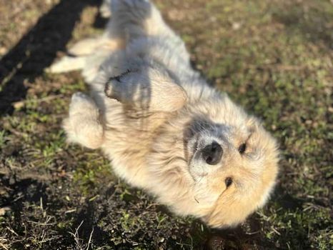 Ohop Lake, WA: airbnb, hotels and vacation rentals