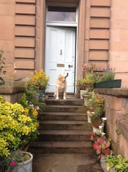 Botanic Gardens Double Bed En Suite - Edinburgh