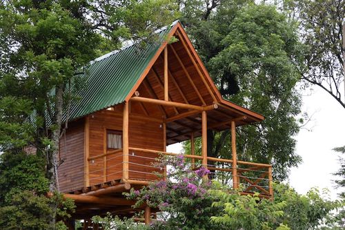 Casa Na ÁRvore - Santa Cruz do Sul