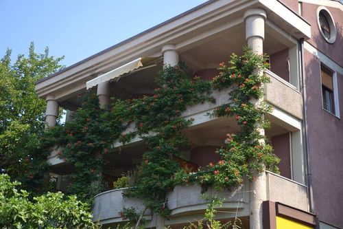 Villa Forum- Triple Room With Balcony - Lake Ohrid