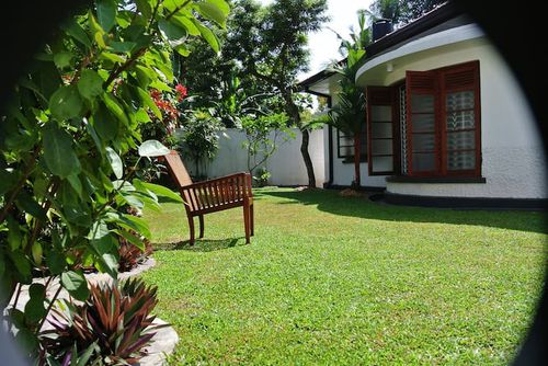 27 Spathodea Oasis In The City - Colombo