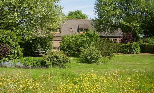 De Hoeve - With An English Touch - Brummen