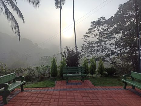 Prakruti Nature Stay - Coorg (Kodagu)