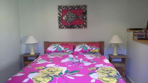 Dunedin Short Term and Weekly Rentals | cozycozy