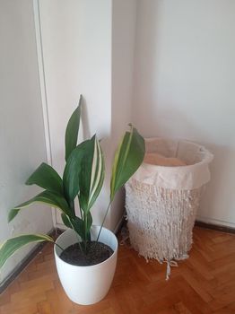 Hermoso Departamento Céntrico En Rosario - Rosario