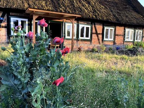 Haus Am Fluss Und See - Lenzen (Elbe)
