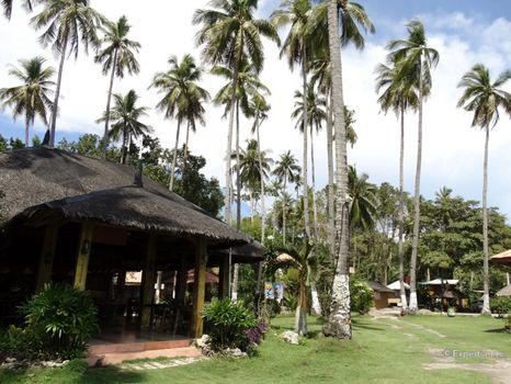 Resorts in Island Garden City of Samal! Use cozycozy!