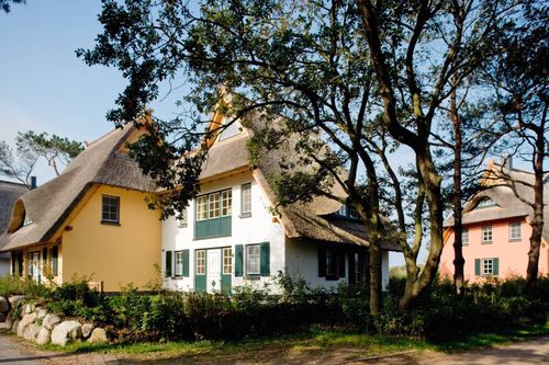 100 M² Ferienhaus ∙ 3 Schlafzimmer ∙ 6 Gäste - Dierhagen
