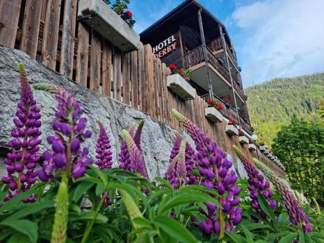 ALL Alpe Devero hotels - Cheap Hotel Deals on cozycozy