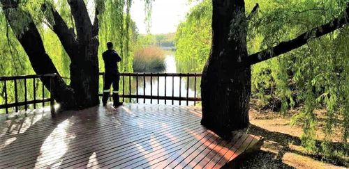 Meyerton Lodges at the Best Price | cozycozy