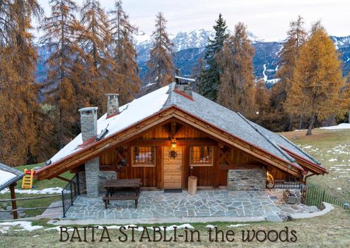 Vermiglio Chalets | cozycozy