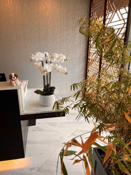 Swiss-belhotel Napier - New Zealand
