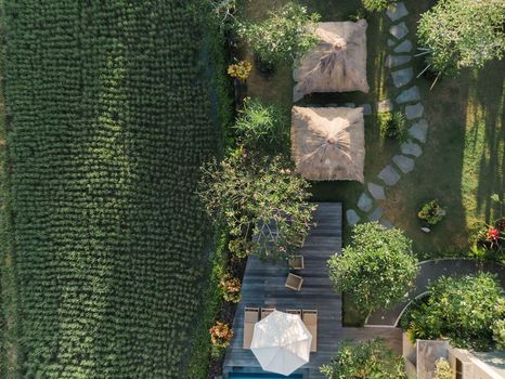 Byasa Ubud - Ubud