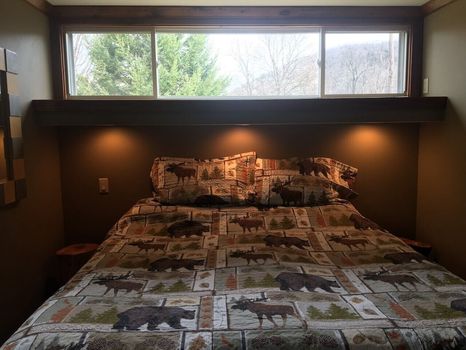 Beautiful Home On Pine Creek Backs Up To Lyman Run State Park & The Pa Wilds!!!! - Cherry Springs State Park, Coudersport