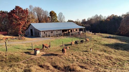 Rustic Cabin On Homestead Farm - Divine Llama Vineyards, East Bend