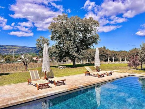 Quinta De Grejufe - Private Farm - Ponte De Lima - Arcos de Valdevez