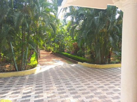 Greenview Homestay Mayyil - Coorg (Kodagu)