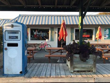 The Jungle House - Edisto Beach, SC