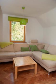 Apartment Polane - Mojstrana