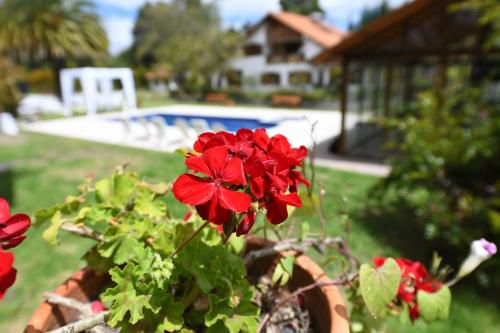 Quinta La Constanza - Napo