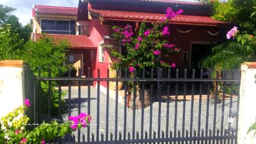 Suites Tem Nao Tem? - Penha