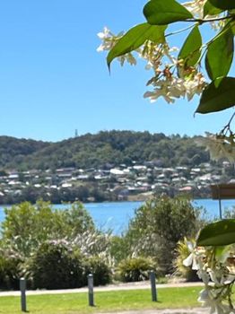 By The Lake - Lake Macquarie - Lake Macquarie