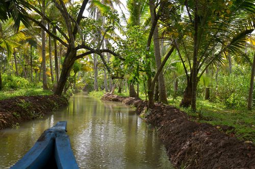 Green Chromide A Riverine Homestay - Kottarakkara