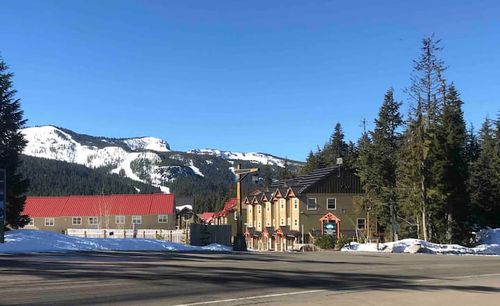 Government Camp Vacation Rentals & Airbnb - COZYCOZY