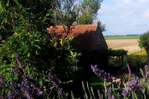 Netherlands Cottages at the Best Price | cozycozy